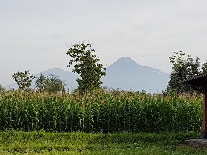 Penginapan Jogja Keren ala Java Village Hotel - Star Jogja FM