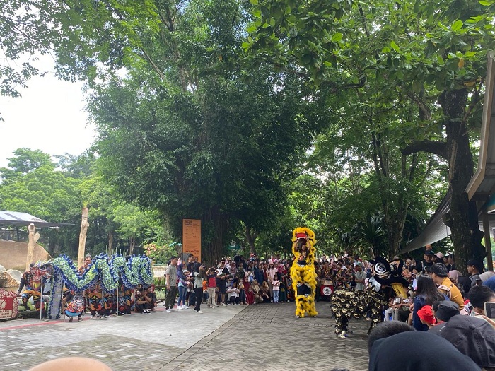 Barongsai Pikat Pengunjung Gembira Loka - Star Jogja FM