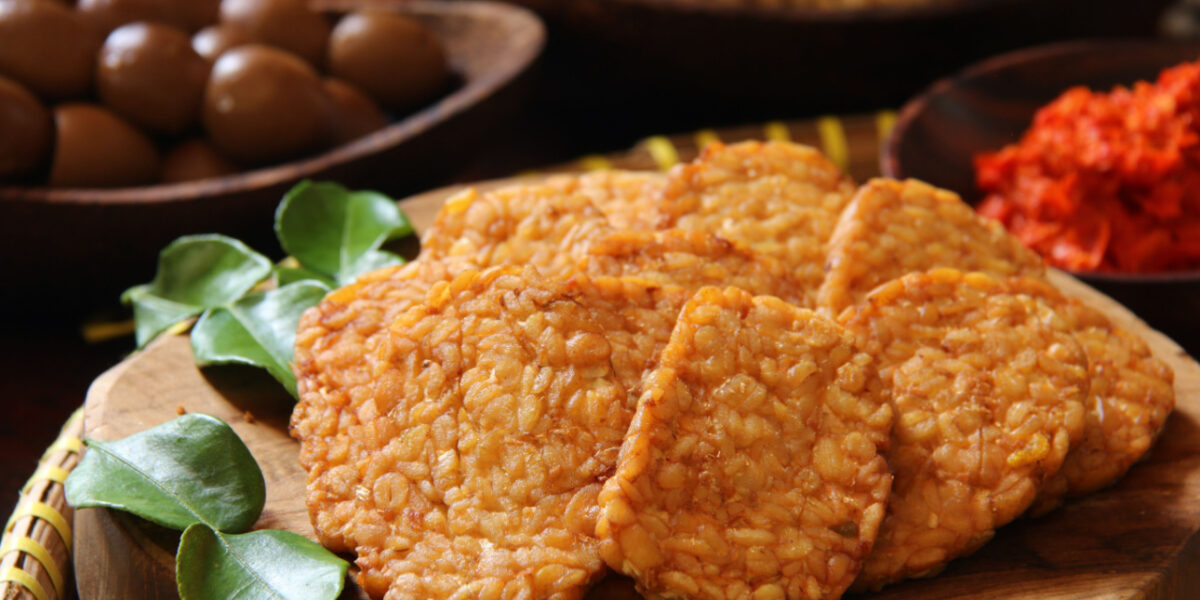 Tempe dan Sejarah Panjang Peradaban Indonesia - Star Jogja FM